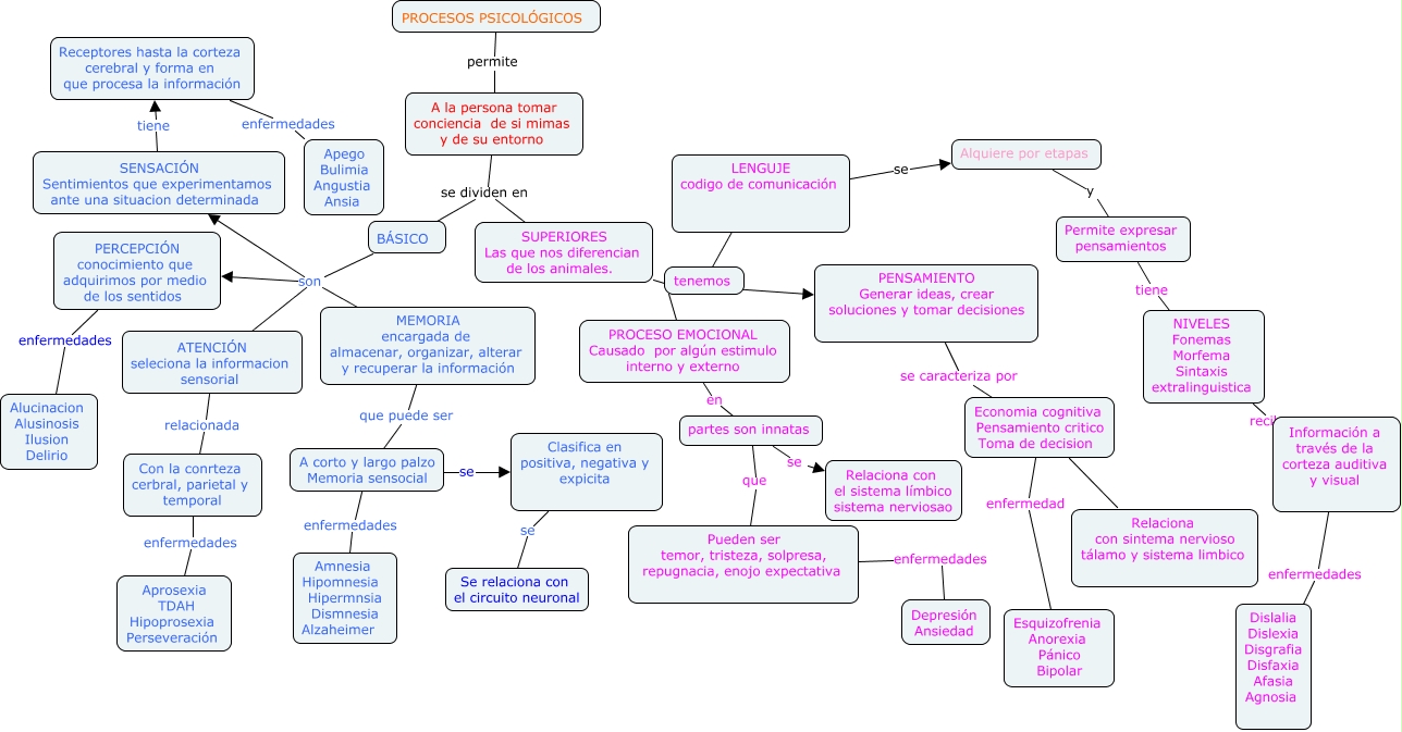 PROCESO PSICOLOGICOS BASICOS